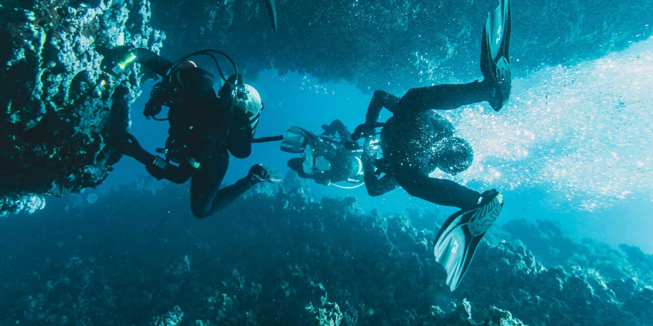 Find the Best Scuba Diving in Macaronesia | Top Dive Centers